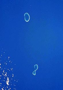 How to kitesurf offshore – Minerva Reef — By the Seat of My Skirt